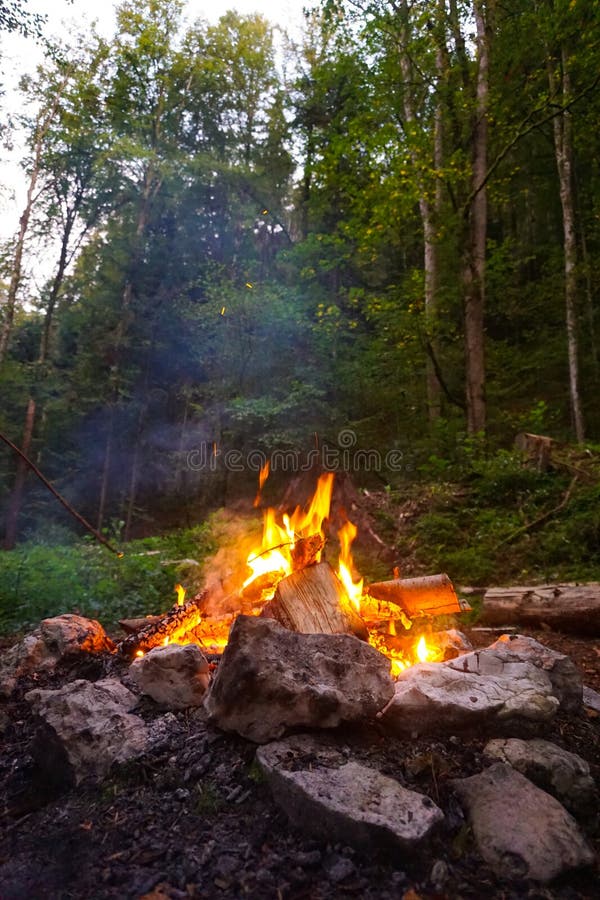Wild Campfire in a Forest Setting Stock Image - Image of forest ...