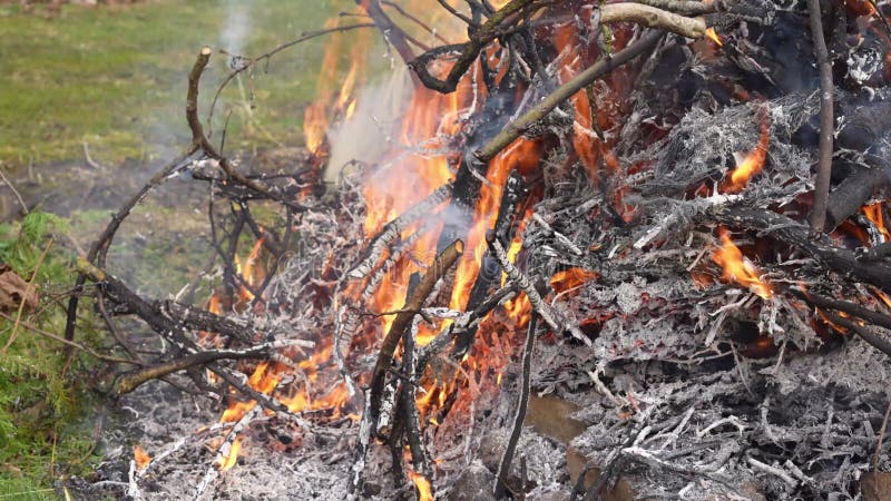 A Campfire in the Garden at Close Range Stock Footage - Video of bright ...