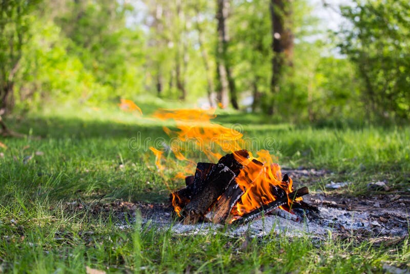 Campfire among Green Grass and Flowers Stock Image - Image of cooking ...