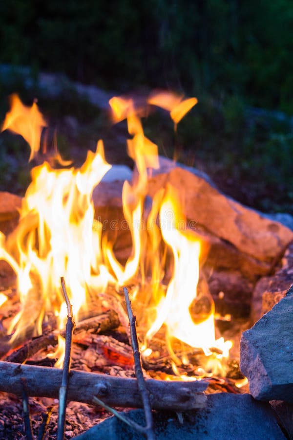 Campfire in Green Summer Forest Stock Image - Image of outdoor, lake ...