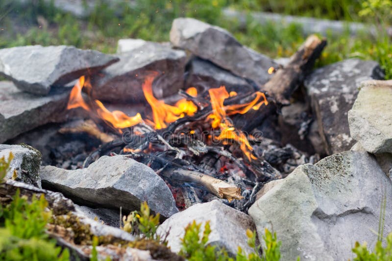 Campfire in Green Summer Forest Stock Image - Image of fireplace, heat ...