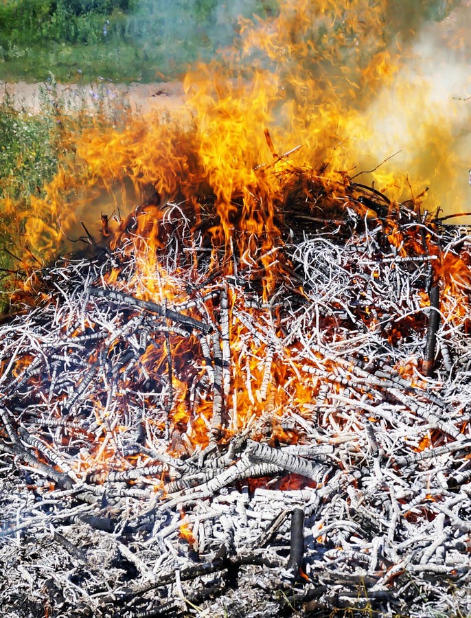 Campfire on Herb in Rural Terrain Stock Image - Image of green, orange ...
