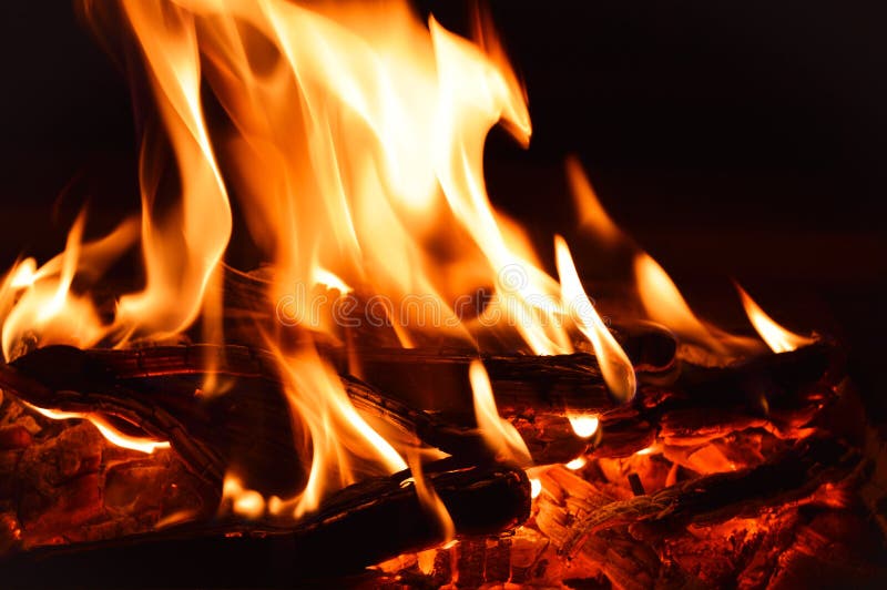 Campfire with hot coals stock photo. Image of camping - 81128058