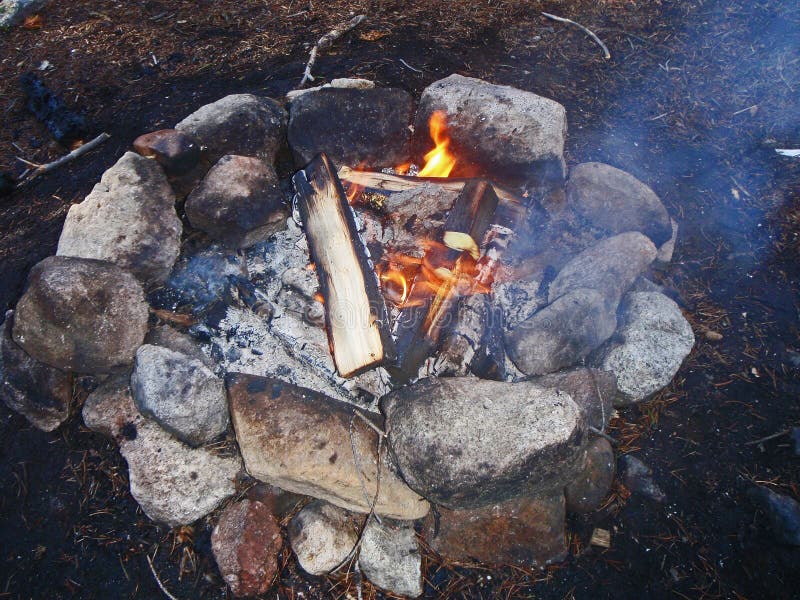 Campfire in woods stock image. Image of kindling, alight - 61932241