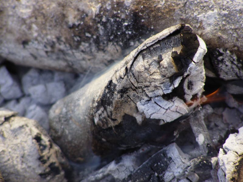 Campfire Log Picture. Image: 6890047