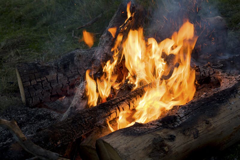 Campfire logs stock image. Image of kindling, campfire - 20922855