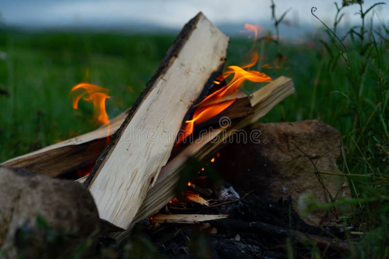 Campfire Made of Sticks in Nature Stock Photo - Image of bonfire ...