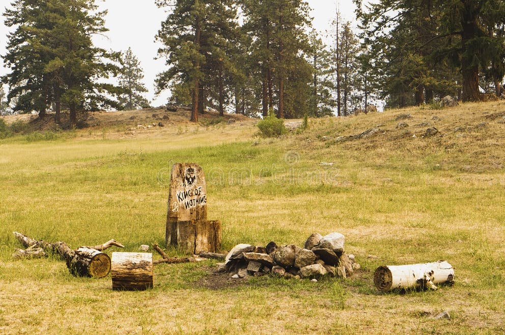 Campfire at a Campsite in a Grassy Meadow Stock Image - Image of seat ...