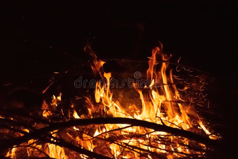 A Campfire in the Middle of the Dark Forest Stock Image - Image of ...