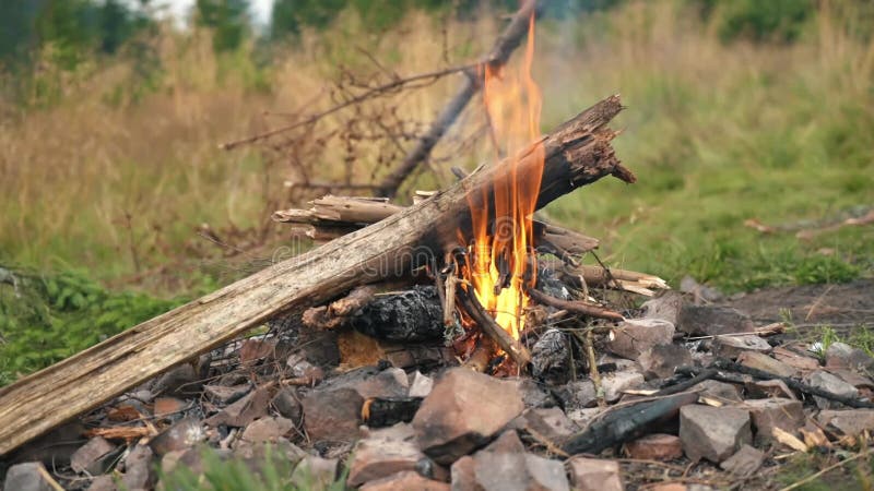 Campfire in Nature, a Beautiful Fire is Burning at the Campsite of ...