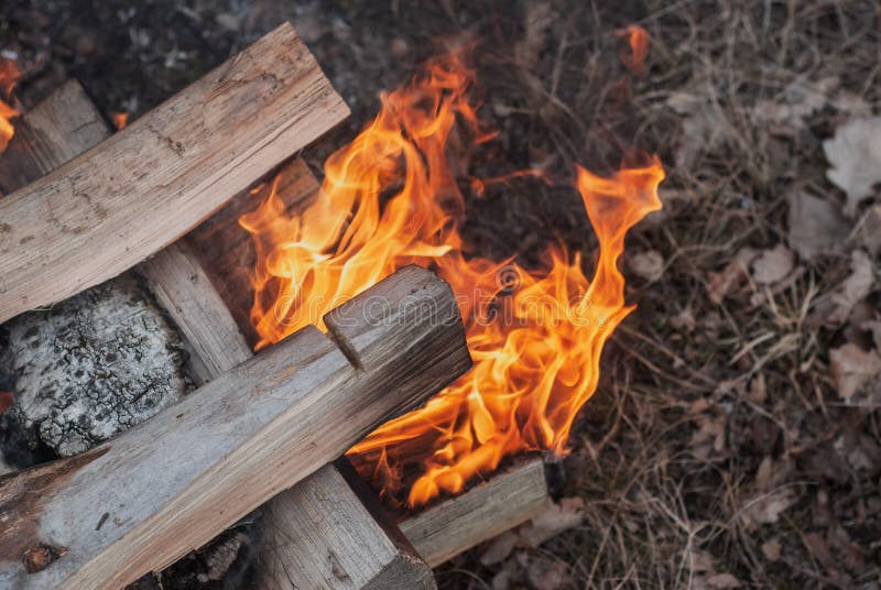 Campfire in Nature Close-up, Top View, Stock Image - Image of passion ...
