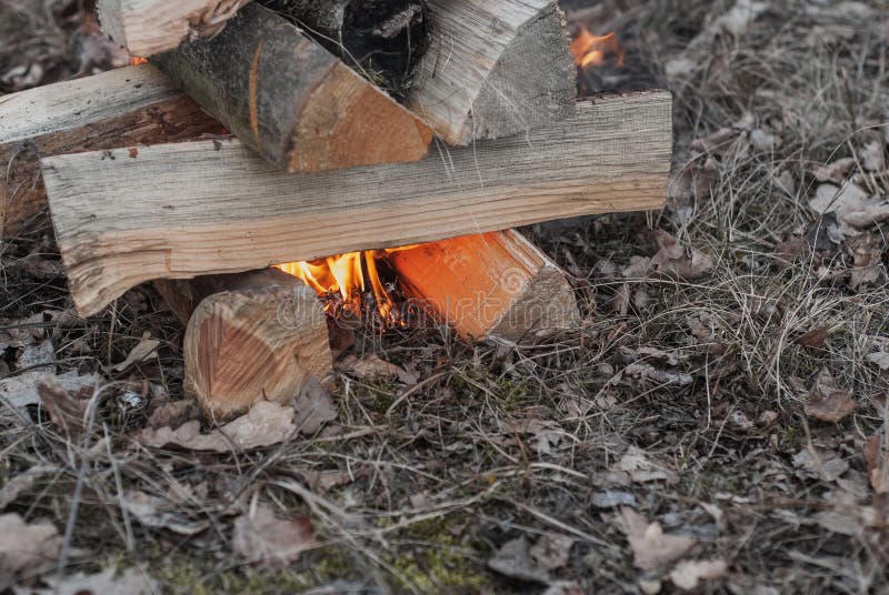 Campfire in Nature Close-up, Top View, Stock Photo - Image of yellow ...