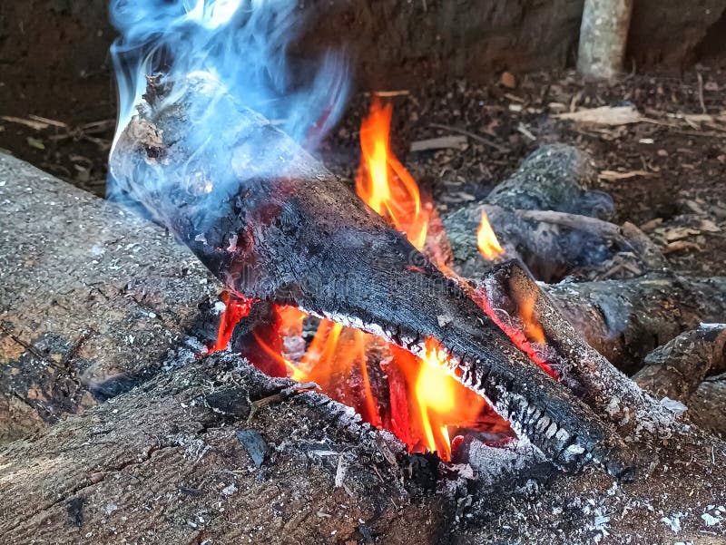 Campfire with Orange Flames from Burning Wood Makes Smoke in the Forest ...