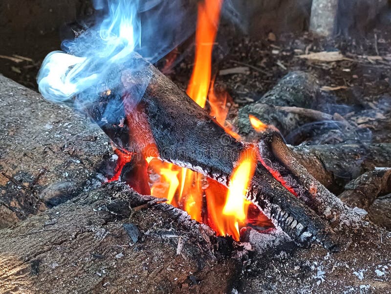 Campfire with Orange Flames from Burning Wood Makes Smoke in the Forest ...