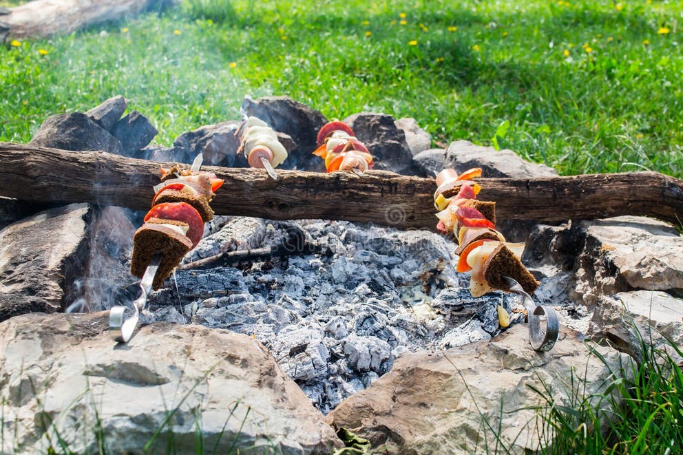 Campfire picnic stock photo. Image of young, group, food - 388228498