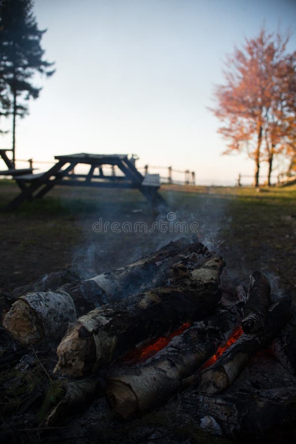 Campfire Place in Glade in the Mountains Stock Photo - Image of ...