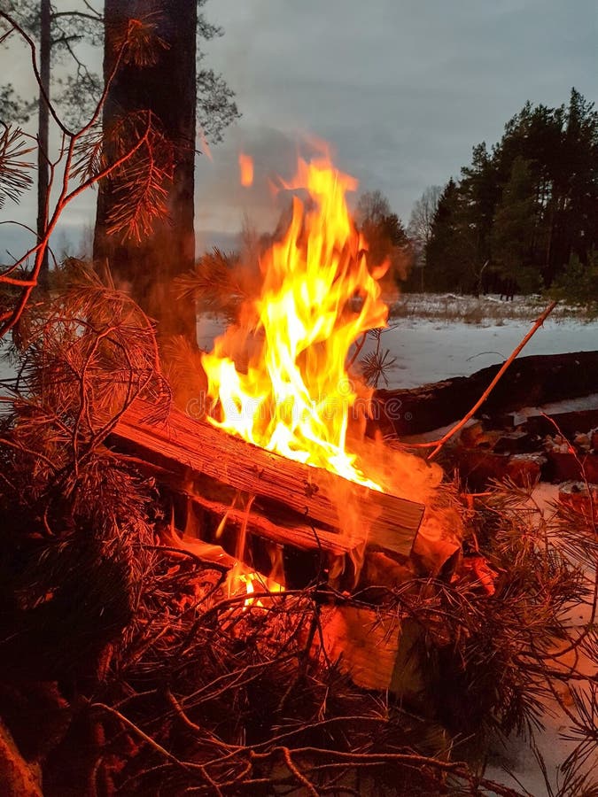 Campfire with Red Flame in the Winter Forest Stock Image - Image of ...
