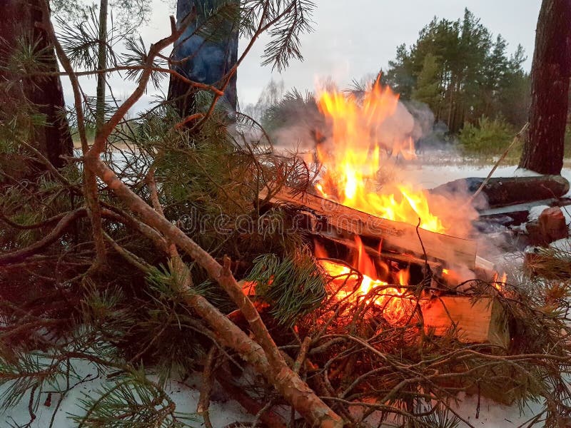 Campfire with Red Flame in the Winter Forest Stock Image - Image of ...