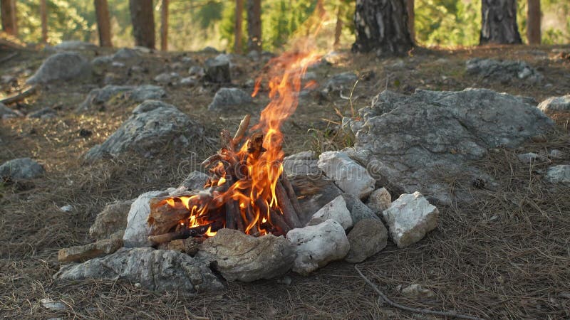 The Campfire S Flames Rise Up within a Stone Circle in a Forest ...