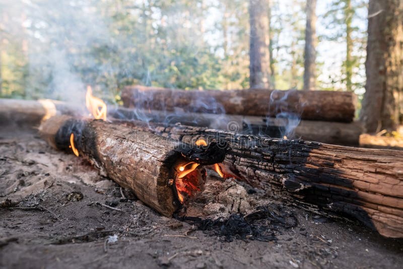 Smoldering campfire stock photo. Image of warm, stones - 26208968