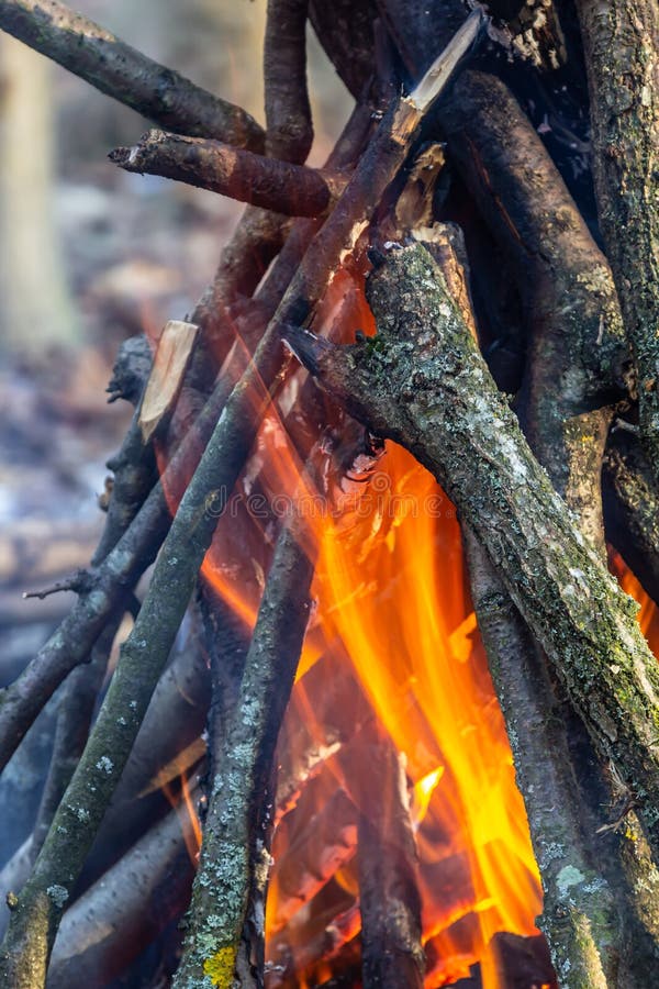 Campfire in the Spring Forest. Rest on the Weekend Stock Photo - Image ...