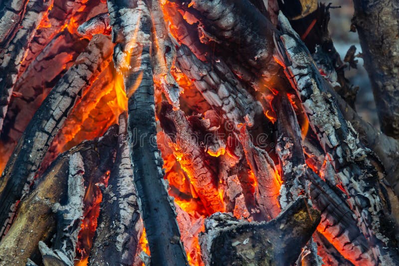 Campfire in the Spring Forest. Rest on the Weekend Stock Photo - Image ...
