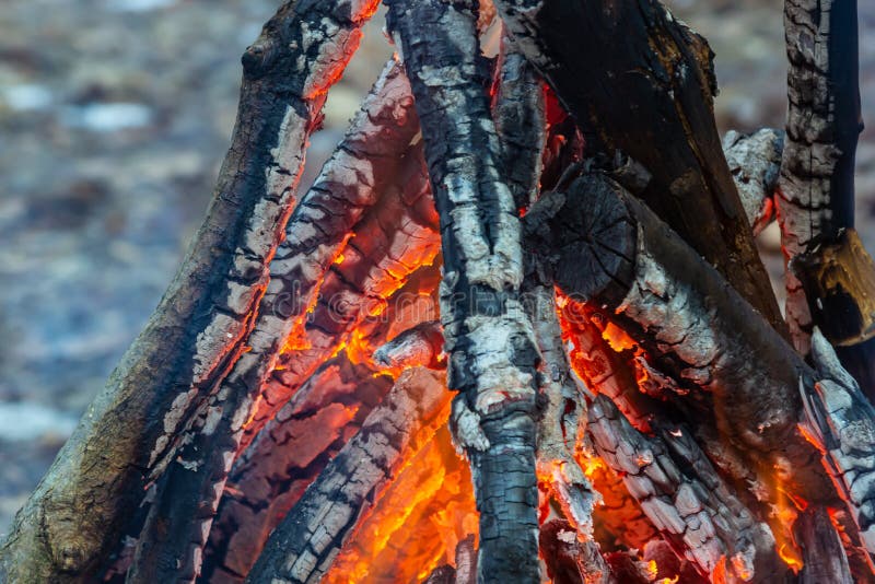 Campfire in the Spring Forest. Rest on the Weekend Stock Photo - Image ...