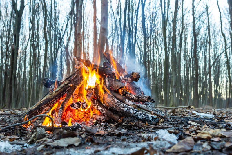 Campfire in the Spring Forest. Rest on the Weekend Stock Photo - Image ...