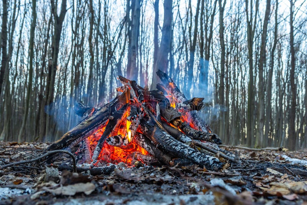 Campfire in the Spring Forest. Rest on the Weekend Stock Image - Image ...