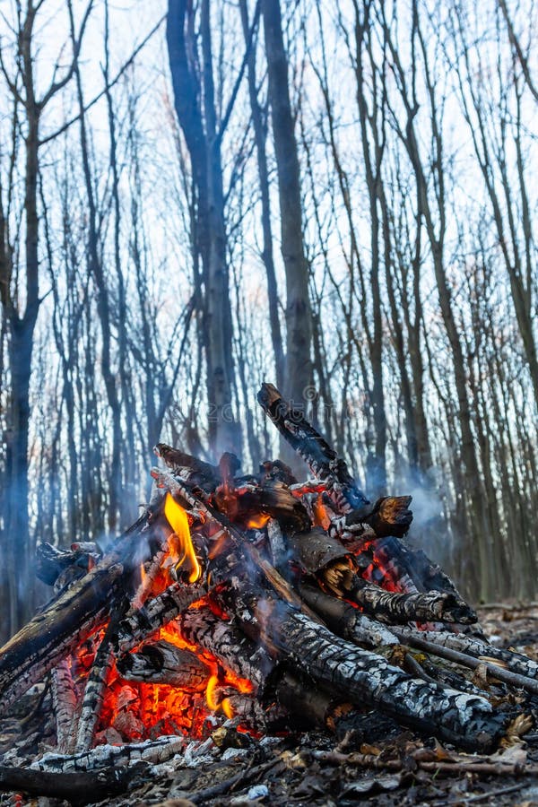 Campfire in the Spring Forest. Rest on the Weekend Stock Image - Image ...