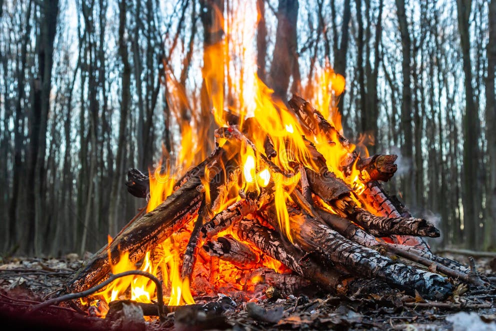 Campfire in the Spring Forest. Rest on the Weekend Stock Image - Image ...
