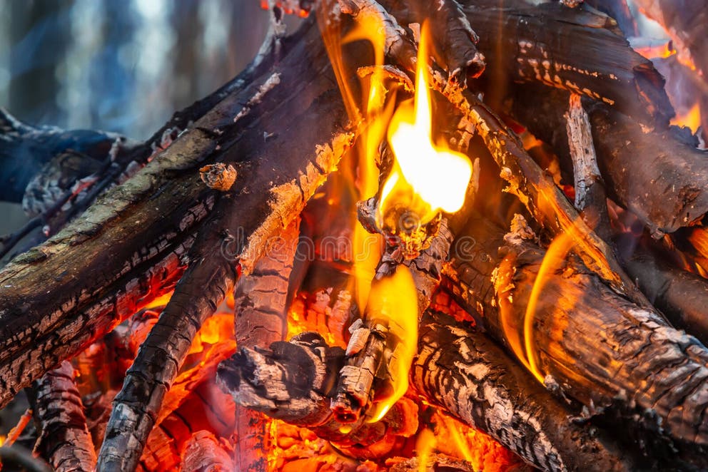 Campfire in the Spring Forest. Rest on the Weekend Stock Photo - Image ...