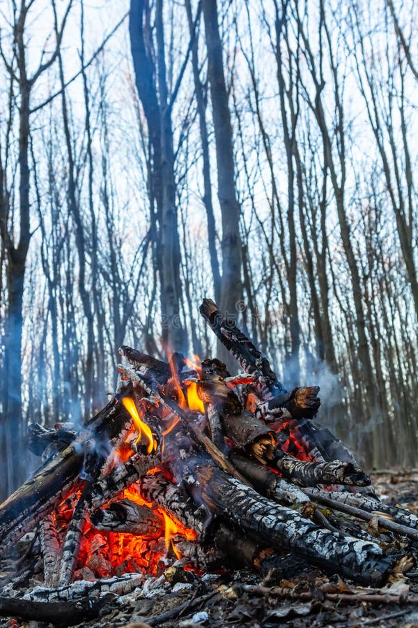 Campfire in the Spring Forest. Rest on the Weekend Stock Photo - Image ...