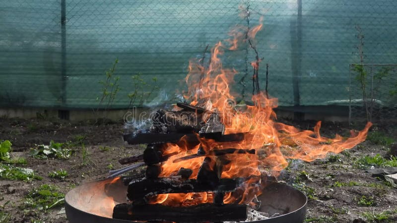 Campfire on spring garden stock footage. Video of magic - 315217660