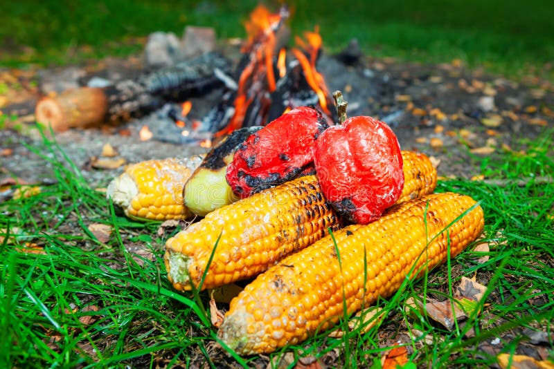 Campfire with veggies stock image. Image of maize, cuisine - 218180159