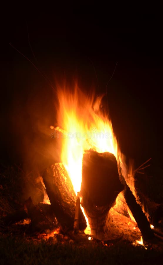 Golden Orange Campfire Flames in Vertical Image with Copyspace Stock ...