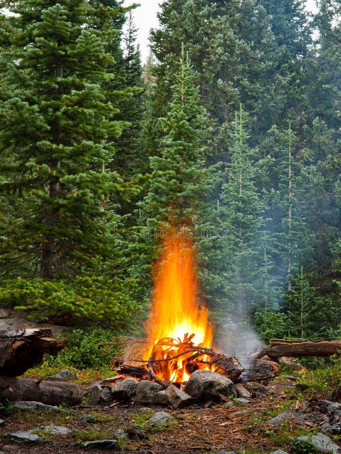 Campfire At Wilderness Campsite Royalty Free Stock Image - Image: 30867556