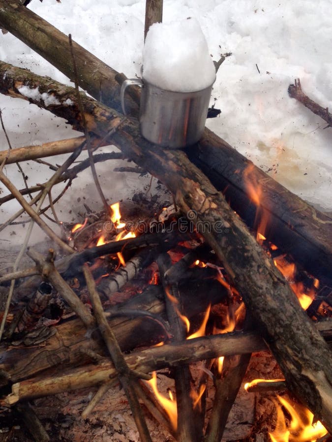 Campfire in winter forest stock image. Image of contrasts - 84134341