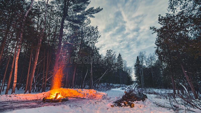 A Campfire in the Winter Woods Stock Photo - Image of fire, burning ...