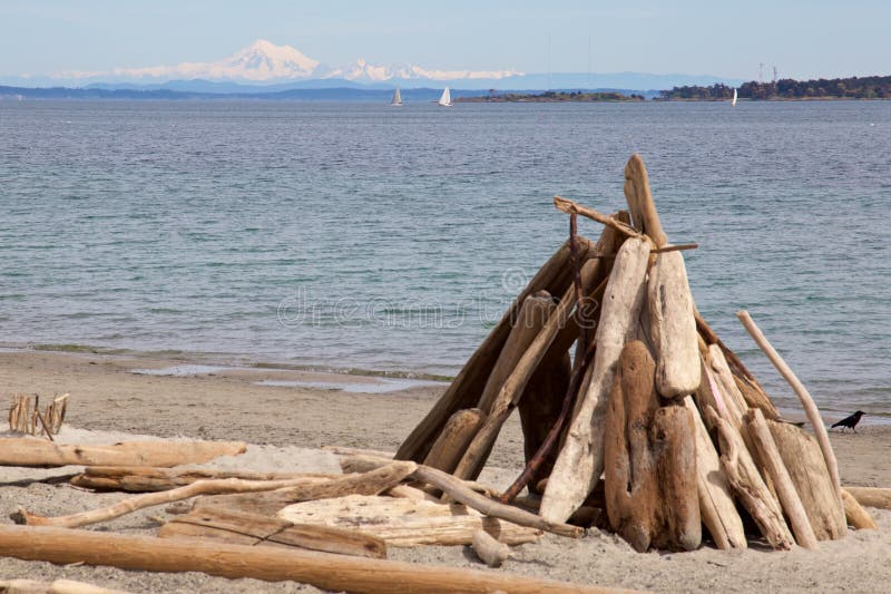 Stack of Campfire Wood. Wood Texture Stock Image - Image of tree ...