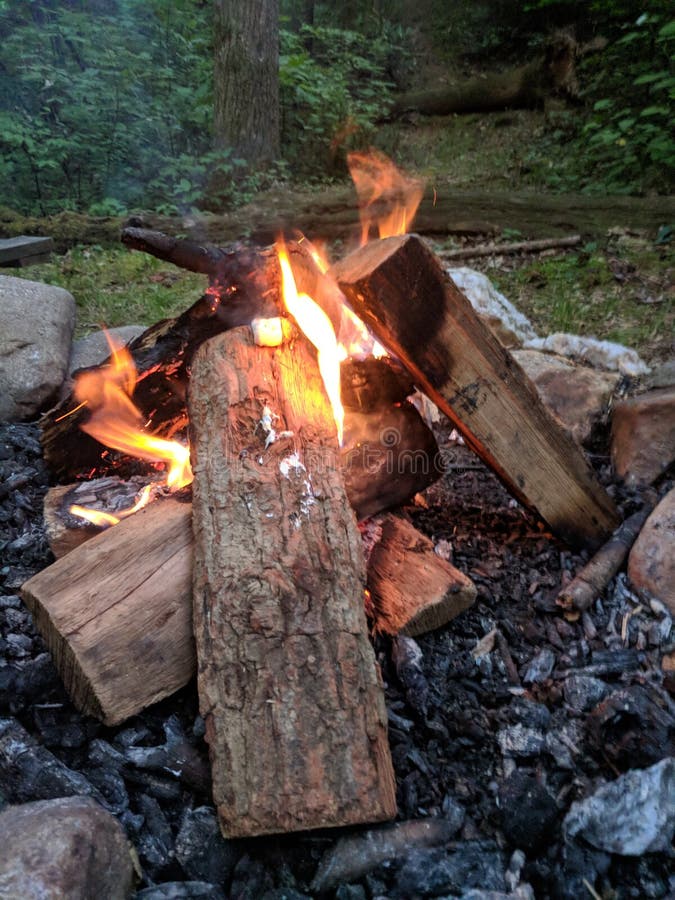 Campfire in woods stock photo. Image of wood, fire, logs - 153606548