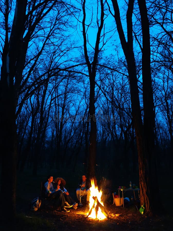 Campfire in the Woods. Outdoor Recreation a Stock Photo - Image of ...
