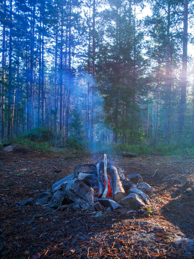 Campfire in the Woods in the Dark. Outdoor Recreation in Field ...