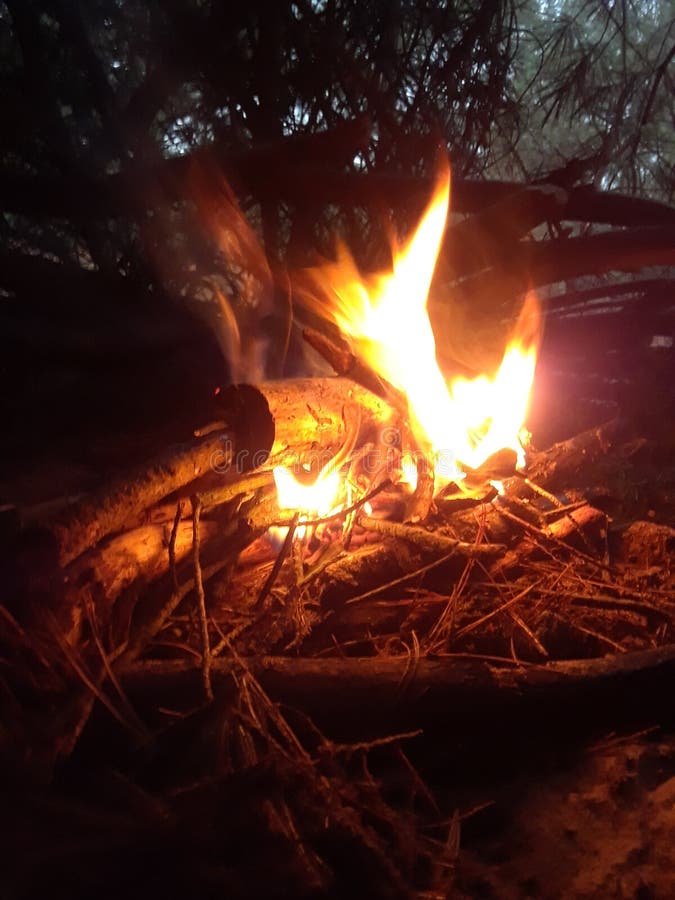 CampFire in the woods stock photo. Image of fall, pretty - 132504988