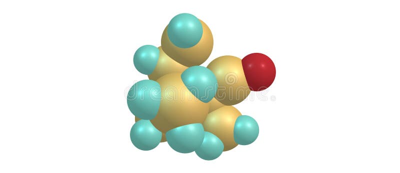Camphor Molecular Structure Isolated on White Background Stock ...