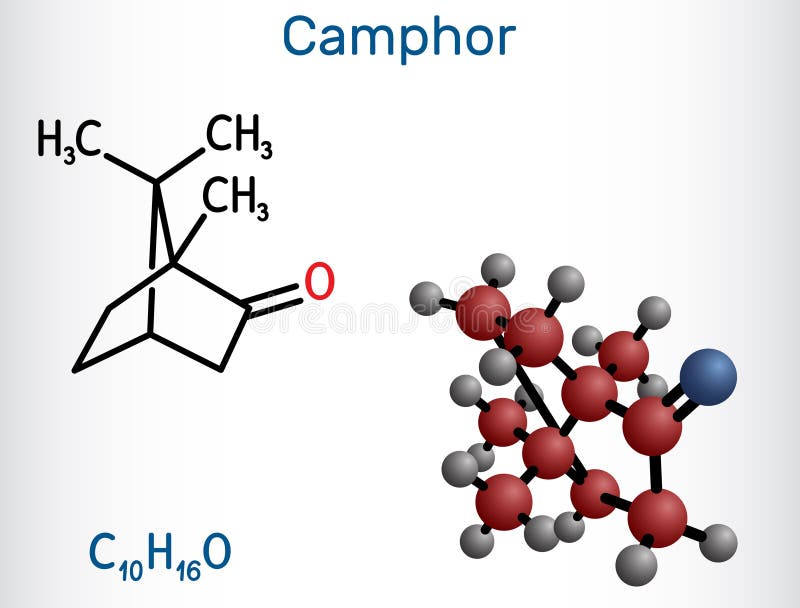 Camphor Molecule. it is Terpenoid and a Cyclic Ketone Stock Vector ...