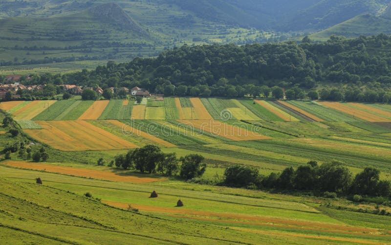 Campi coltivati in Romania fotografia stock. Immagine di agricoltura ...