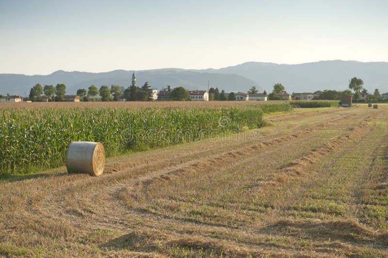 Campi coltivati immagine stock. Immagine di fieno, coltivato - 22497795