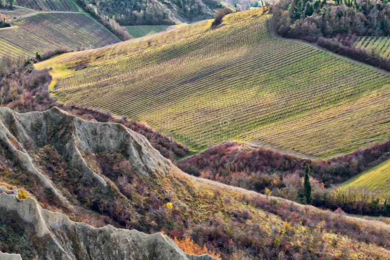 4,186 Campi Coltivati Foto - Foto Stock Gratis e Royalty-Free da Dreamstime