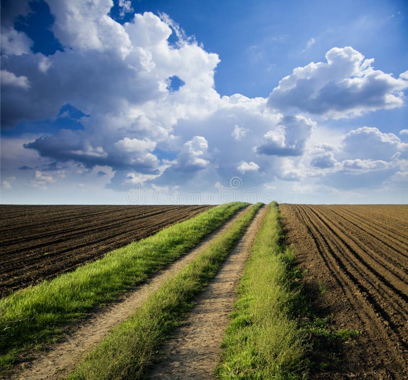 Strada Rurale Attraverso Campi Di Terreno Coltivabile Immagine Stock ...
